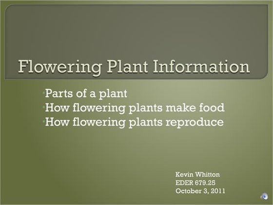 Second Grade Science: Plants | PPT