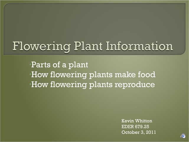 Second Grade Science: Plants | PPT