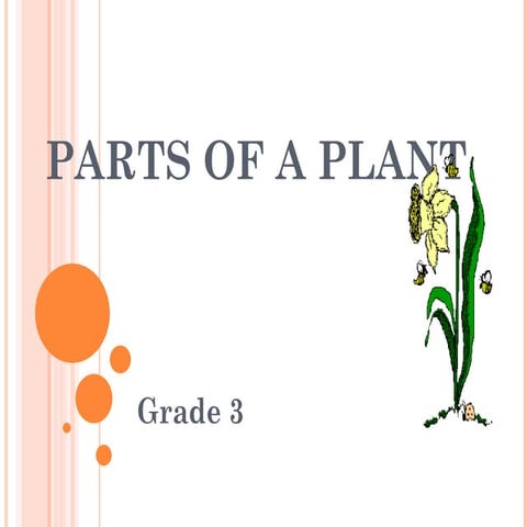 Plants | PPT