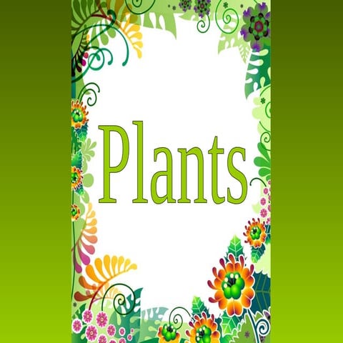 Plants | PPT