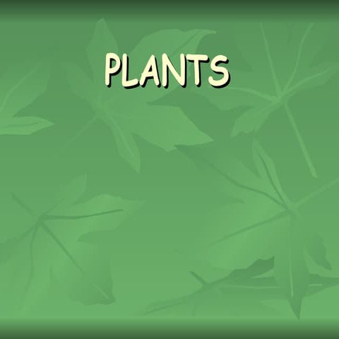 Plants | PPT