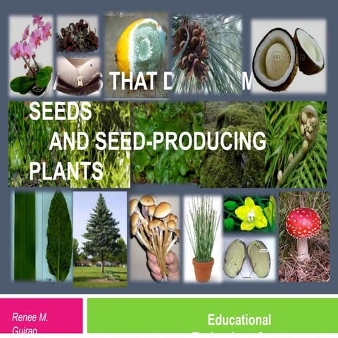 Plants | PPT