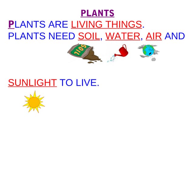 Things Plants Need To Live