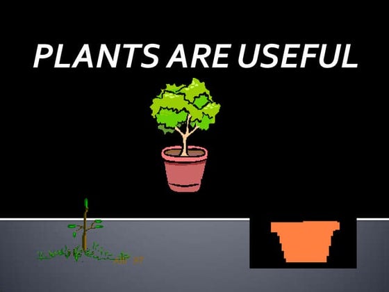 Environmental Science (EVS) : Plants Around Us (Class III) | PPT
