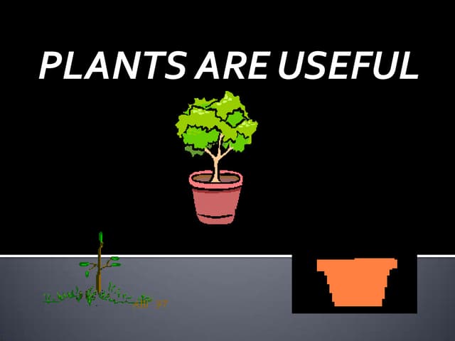 Basic Needs Of Plants | PPT
