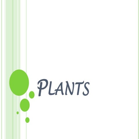 Plants | PPT