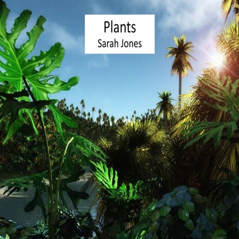 Plants | PPT