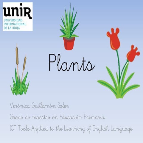Plants | PPT