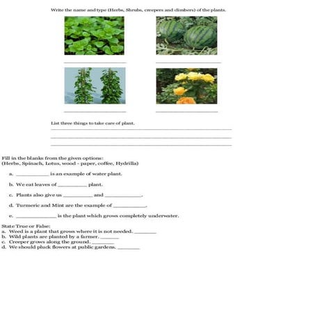 Plants | PDF