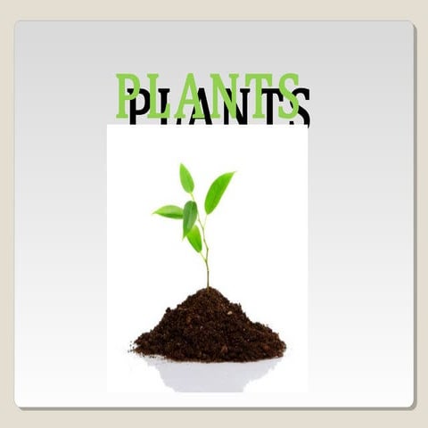 How Plants Grow | PPT