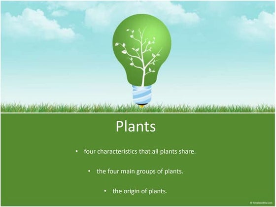 All about plants | PPTX