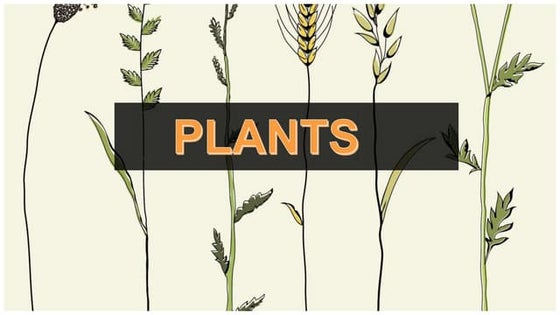 FLOWERING AND NON-FLOWERING PLANTS.pptxFLOWERING AND NON-FLOWERING ...