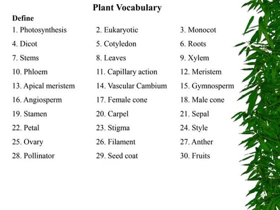 Plant structure and function powerpoint | PPT