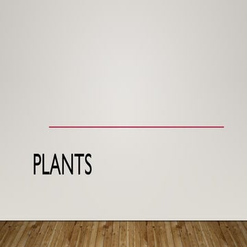 Environmental Science (EVS) : Plants Around Us (Class III) | PDF