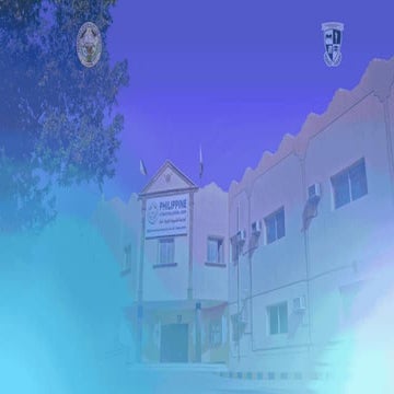 Vascular and Nonvascular Plants (Characteristics of Plants) | PDF