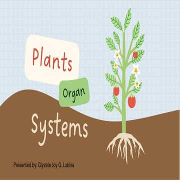 Plants-and-Their-Systems-Science-Presentation-in-Light-Brown-Light-Blue ...