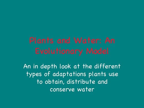 Plants 3rd grade | PPT