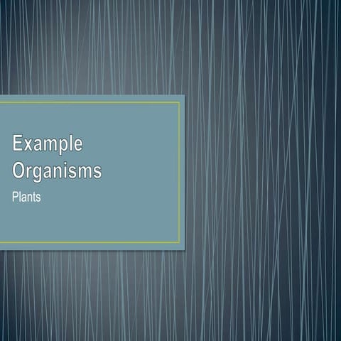 Plants organisms[1] | PPT