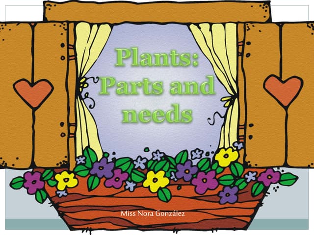 Basic Needs Of Plants | PPT