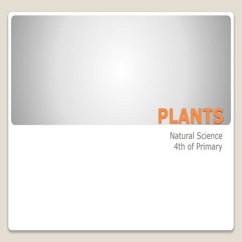 Natural science, unit 1, the plants | PPTX