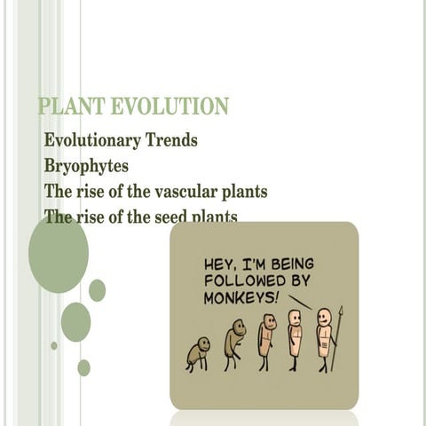 Evolution of plants through different geological time scale | PPTX