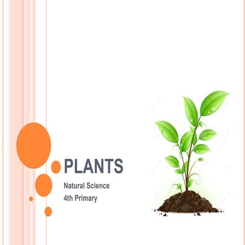 Plants - Unit 2 - Part 2 | PPT