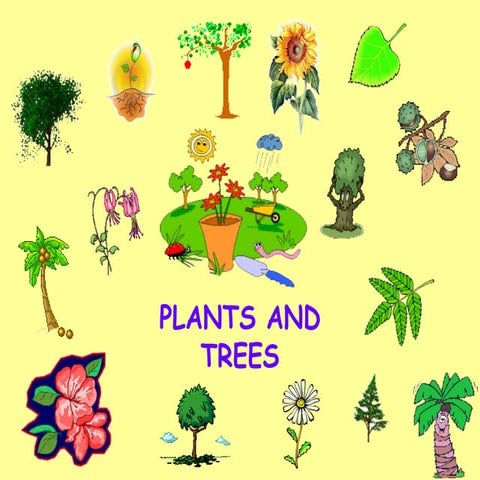 Plants and trees | PPT