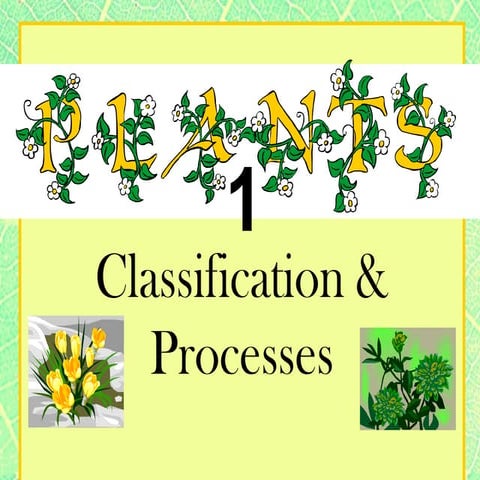 NEW STANDARDS 6th grade Plants1: classification & processes | PPT