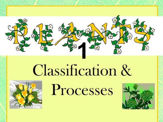 Science 3 parts and function of the plants | DOCX