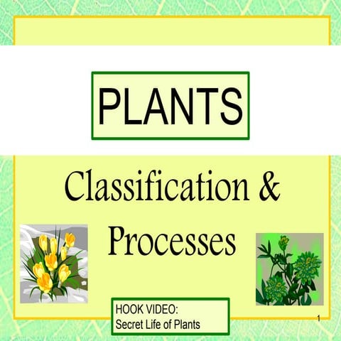 Plants 1 | PPT