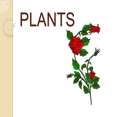 plants needs and plants parts chapter3.grade 3 | PPTX