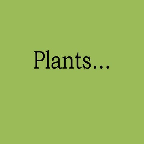 Plants 2nd grade | PPT