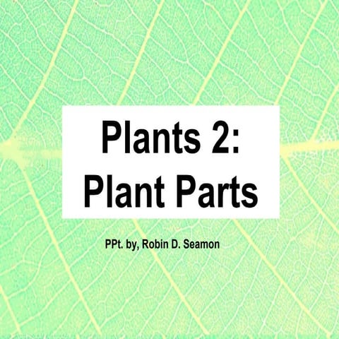 DAV Class 5 Plants | PPTX