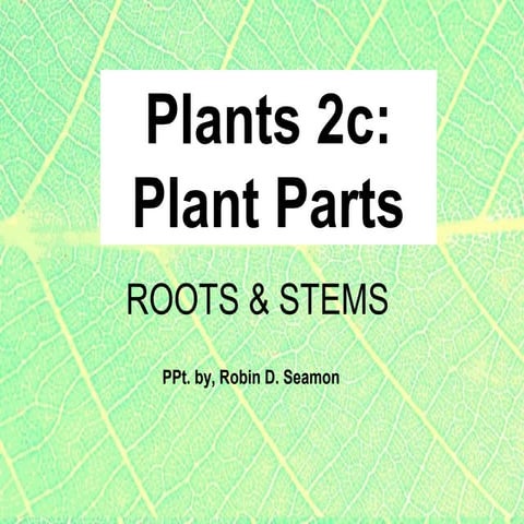 Specialized Structure in Plants and Adaptation | PPTX