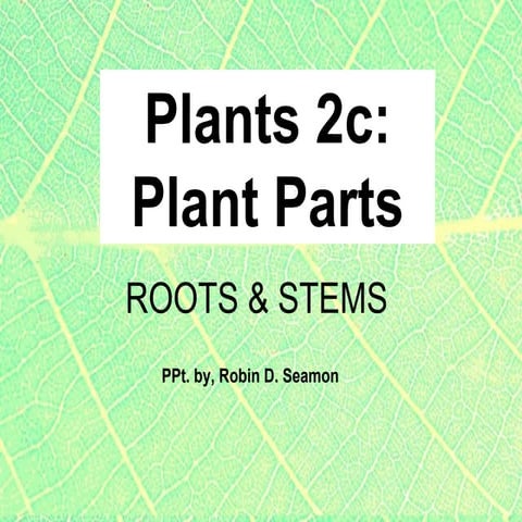 Specialized Structure in Plants and Adaptation | PPTX