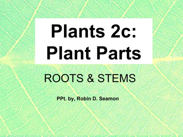 Parts of the plant and their functions | PPT