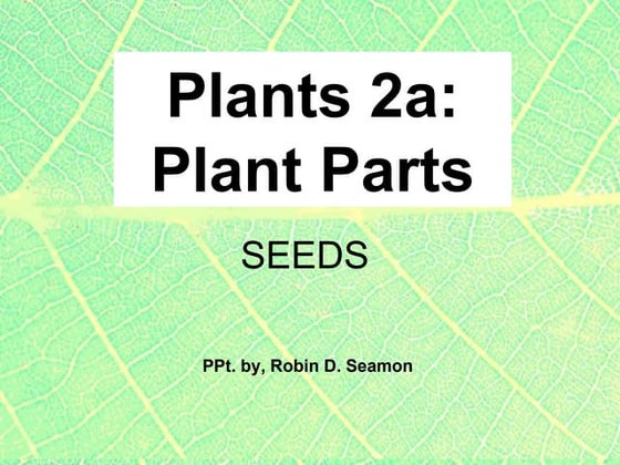 Seed structure | PPT