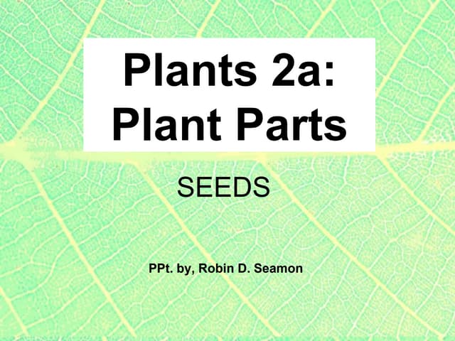 Seed structure | PPT