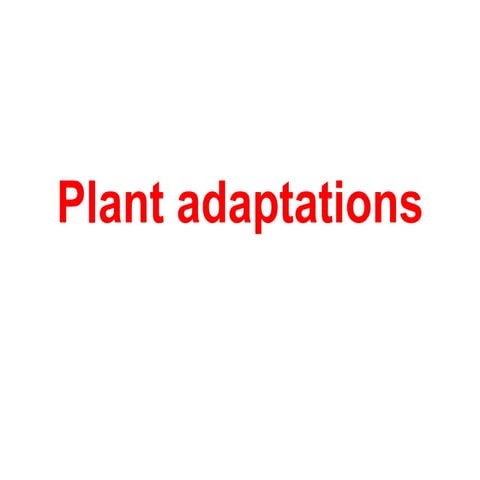 Plants adaptation | PPT