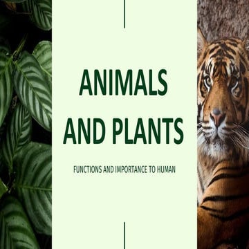 Lesson 3.3 How do plants and animals need each other? | PPT