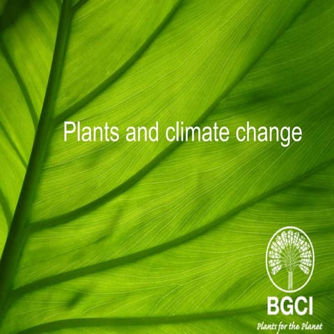 plants_and_climate_change.ppt | Gardening | Home & Garden