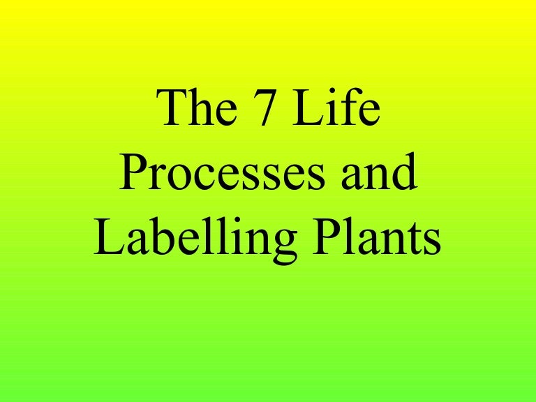 Plants and life processes