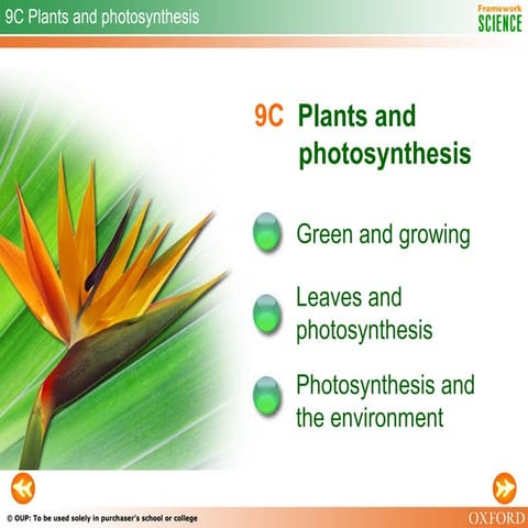 Chapter 2 Lesson 1- What are plants' characteristics | PPT