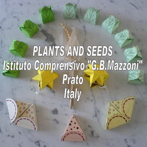 Plants and seeds | PPT