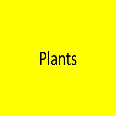 Plants and their latin names | PPT