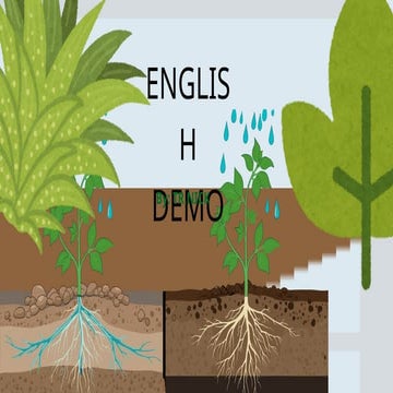 Plants and Their Systems Science Presentation_20260324_151455_0000.pptx