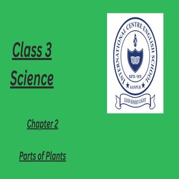 Plants and Their Systems Science Presentation in Light Brown Light Blue ...