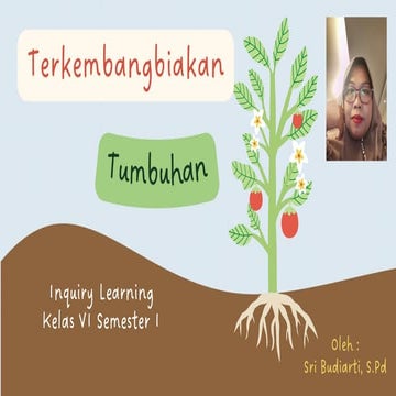 Plants and Their Systems Science Presentation in Light Brown Light Blue ...