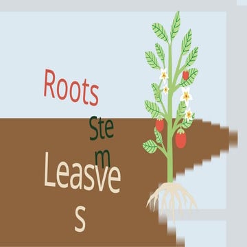 Plants and Their Systems Science Presentation in Light Brown Light Blue ...