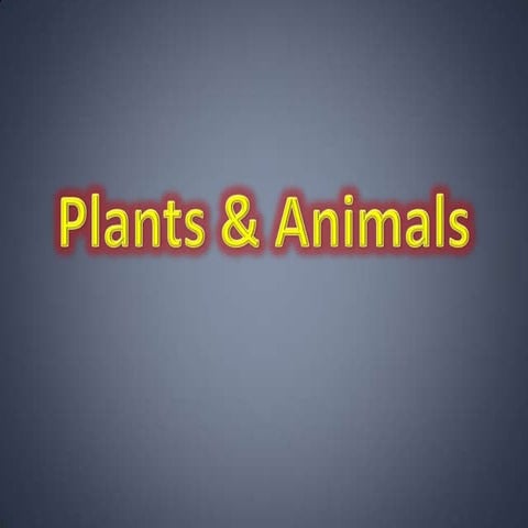 Plants & animals | PPTX